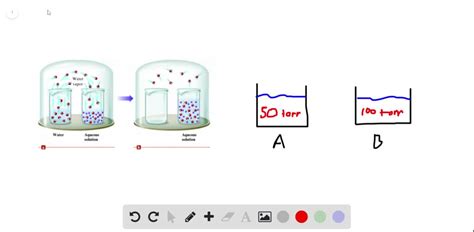 Solved Once Again Consider Fig 11 10 Suppose Instead Of Having A Nonvolatile Solute In The
