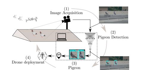 Latest In Bird Scaring Drone Technology Professional Pest Manager
