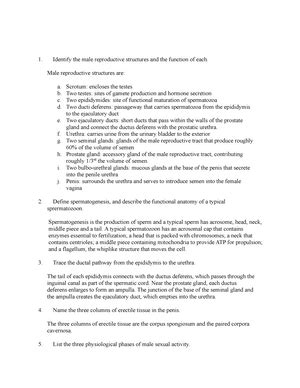 Lab2 BIO212 Lab PRE LAB QUESTIONS What Is The Function Of The Endocrine System The