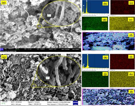 A Femes Micrograph Of Sio2cnt Inset High Resolution Sio2cnt B Edx
