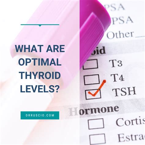 What Are Optimal Thyroid Levels Dr Michael Ruscio Dc