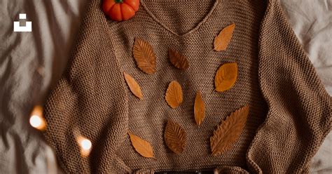 카메라가 달린 갈색 스웨터 사진 Unsplash의 무료 가을의 미학 이미지