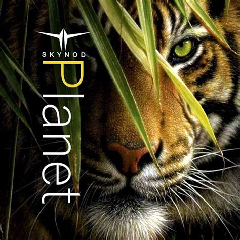 პლანეტა Planet Youtube