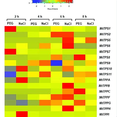 Heatmap Representing The Expression Profiles Of Medicago Truncatula