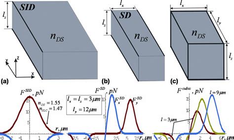 Models Of The Lc Structures And The Calculated Optical Gradient Forces