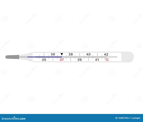 Analog Clinical Thermometer Vector Illustration