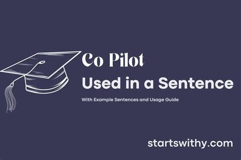 Co Pilot In A Sentence Examples 21 Ways To Use Co Pilot