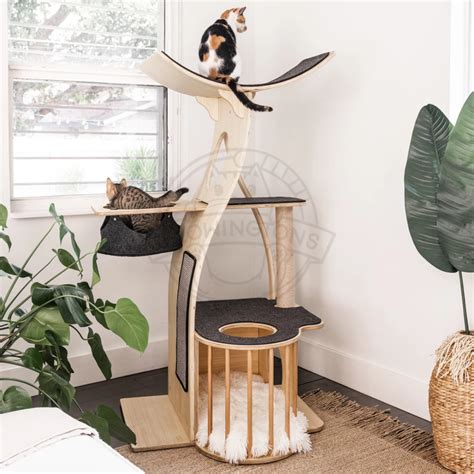 Modern Cat Shelves