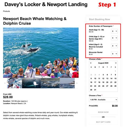 Groupon Redemption For Whale Watching Cruises With Daveys Locker