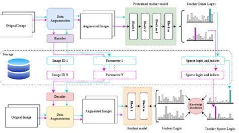Detailed Workflow Of Knowledge Transfer Based Approach Tinyvit