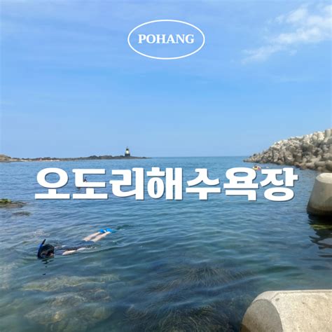 포항 스노쿨링 오도리해수욕장 주차장 샤워 물고기 후기 네이버 블로그