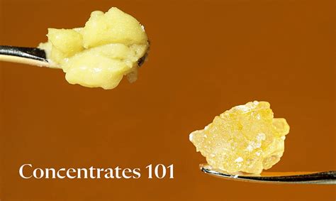 Solvent Vs Solventless Concentrates Weed For Sale Uk