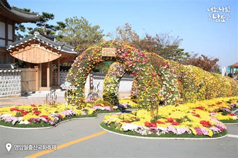 영암 월출산 국화축제 3년만에 개최되는 국화꽃 축제 월출산 기찬랜드 일대 개막 기본정보 전남 영암 할로윈 10월 11월 가을꽃 축제 단풍 명소 가볼만한 곳 네이버 블로그