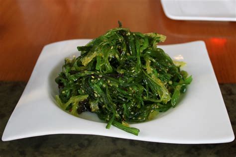 66 Importance Of Protists K12 Libretexts