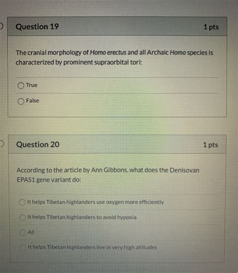 Solved Question 19 1 Pts The Cranial Morphology Of Homo