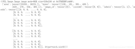 手把手教你训练自己的mask R Cnn图像实例分割模型（pytorch官方教程）根据已有标注训练图像分割模型 Csdn博客