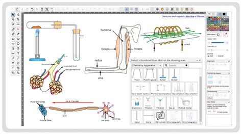 How To Draw Scientific Diagrams On Computer
