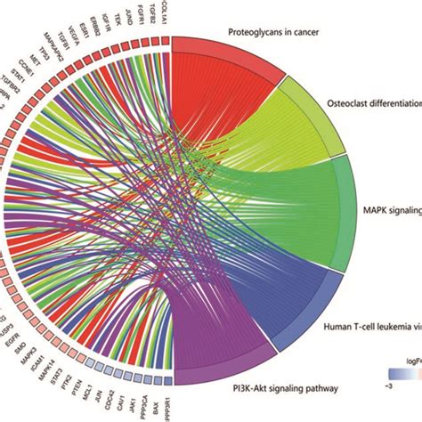 Kegg Enrichment Analysis Of Eu Dr On Op The Chord Plot Shows The Top 5