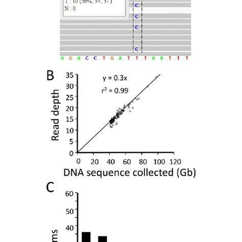 Comparison Of 163 Reference Snp Genotypes With Those Derived From Wgs Download Scientific