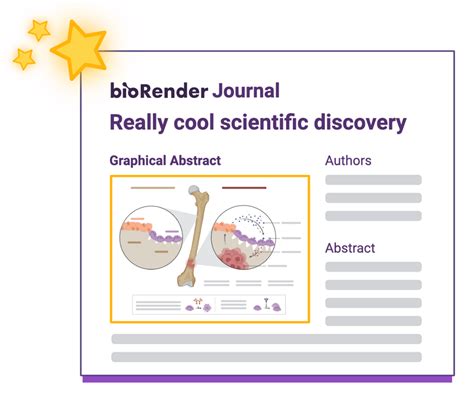 Mastering Graphical Abstracts Top Design Tips For Researchers BioRender