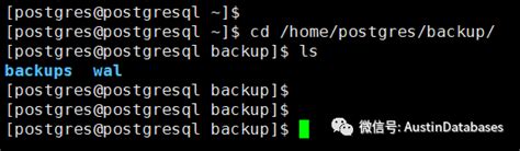 Postgresql 从备份原理 到 Pgprobackup 腾讯云开发者社区 腾讯云