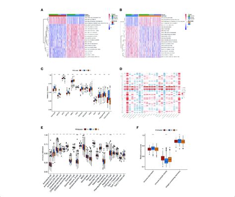 Biological Characteristics Of Histone Acetylation Patterns A B Download Scientific
