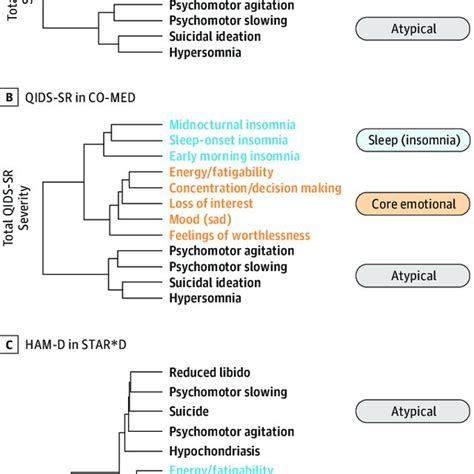 Data Driven Decomposition Of Depressive Checklists Using Hierarchical Download Scientific