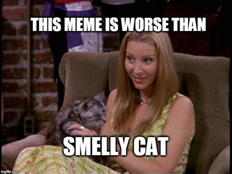 Smelly Cat Imgflip
