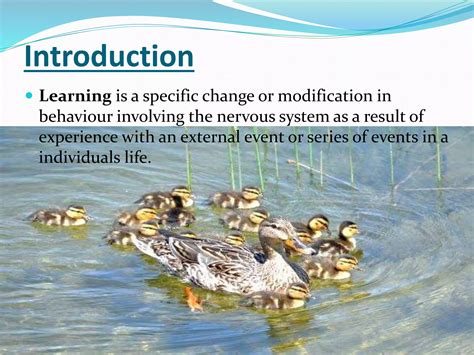 Non Associative And Associative Learning Pptx