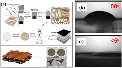 A Schematic Depiction Of The Preparation Of Tio 2 Nanorod Inserted