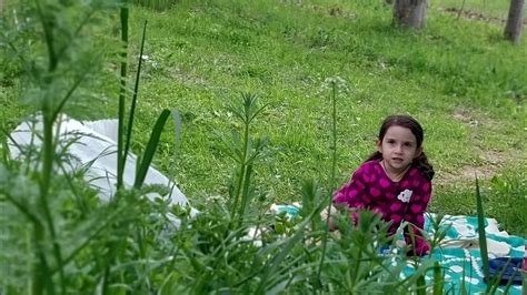 სოფლის Vlog 🌿 ️ გილოცავთ მეგობრებო 🙏 ️ Youtube