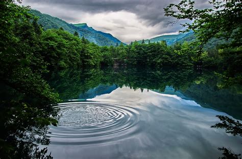 Производитель питьевой воды «Бабугент». Питьевая вода оптом | «Babugent ...