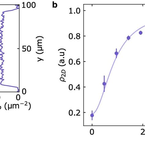 In Situ Profiles Of Homogeneous Sample And An Individual Vortex A
