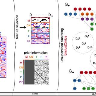 Bayesian Network Based Clustering Workflow Multiple Omics Types Both