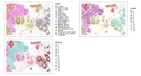 26 Clustering Orchestrating Spatial Transcriptomics Analysis With Bioconductor