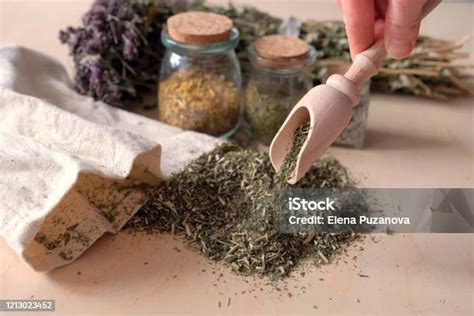 집에서 만든 약자 천연 허브 약용 허브 차의 다양한 종류 손에 허브와 나무 숟가락 0명에 대한 스톡 사진 및 기타 이미지 0명 건조한 녹색 Istock