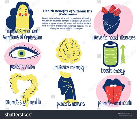 Hand Drawn Vitamin B12 Cobalamin Benefits Stock Vector Royalty Free