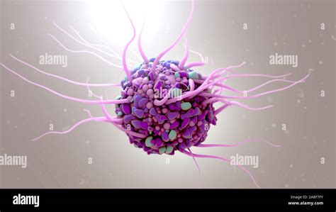 Dendritic Cell Illustration Stock Photo Alamy