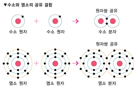 금성출판사 티칭백과