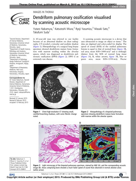 Pdf Dendriform Pulmonary Ossification Visualised By Scanning Acoustic Microscope