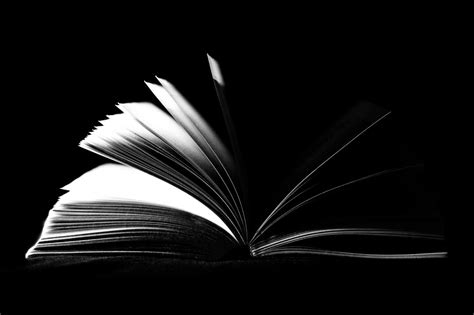 14 Best Wordpress Books For Beginners To Learn Wordpress