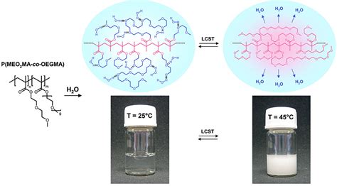Thermoresponsive Polymers With Lcst Transition Synthesis Characterization And Their Impact On