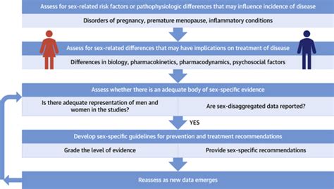Is It Time For Sex Specific Guidelines For Cardiovascular Disease Jacc