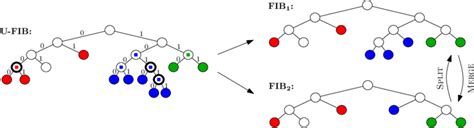 One Bit Tries Representing A U Fib And Two Possible Compressions To The