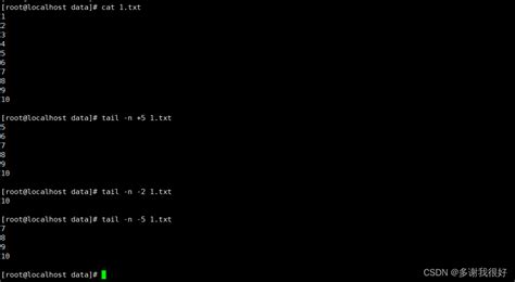 Linux基础第一章:基础知识与基础命令 3linux Mv和rename Csdn博客 Linux基础第一章:基础知识与基础命令 3linux Mv和rename Csdn博客