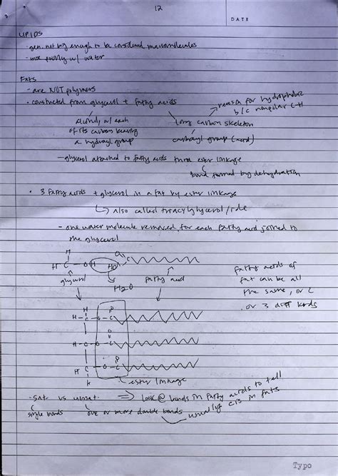 MCDB 1A Final Carbs Lipids And Proteins OneClass