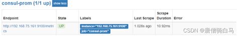 prometheus监控实战系列十八：基于consul的服务发现 prometheus consul csdn博客