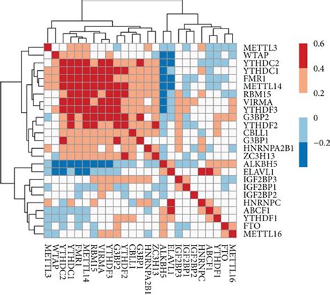 Consensus Clustering Of M6a Rna Methylation Regulators Identified Two Download Scientific