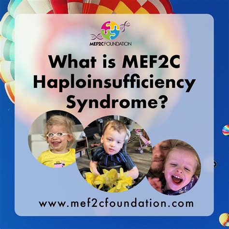 Mef2c Foundation Mef2cfoundation Twitter