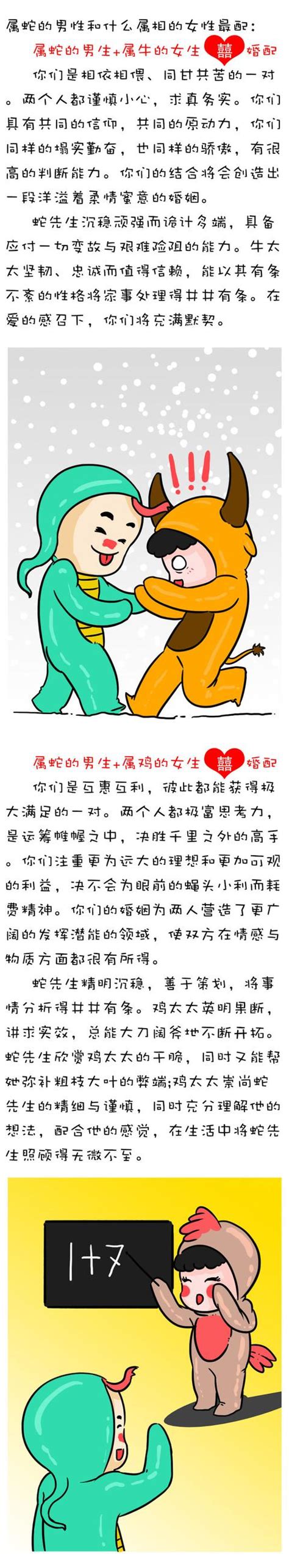 十二生肖之配對 屬蛇的人和哪些生肖更配呢 每日頭條